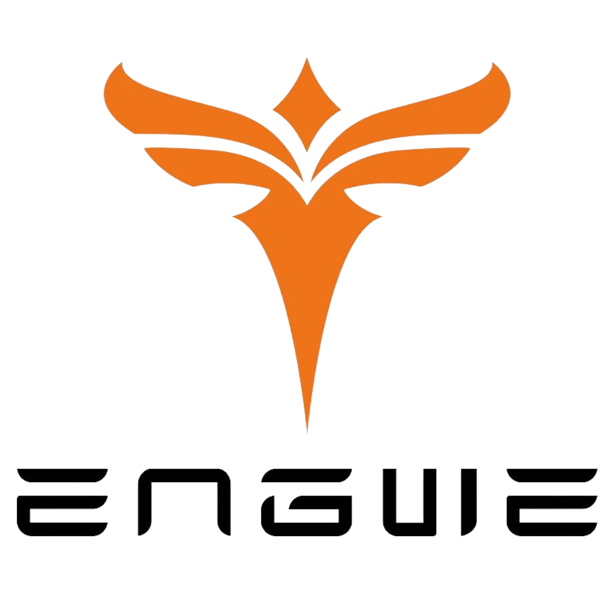 ENGWE Electric Bikes by Inthezone Electric Mobility – InTheZone ...