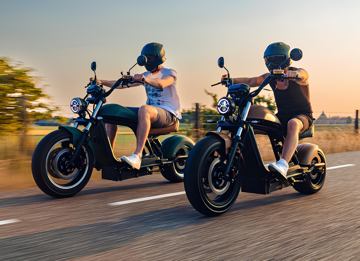 EAHORA KNIGHT M1PS 4000W – InTheZone Electric Mobility Limited